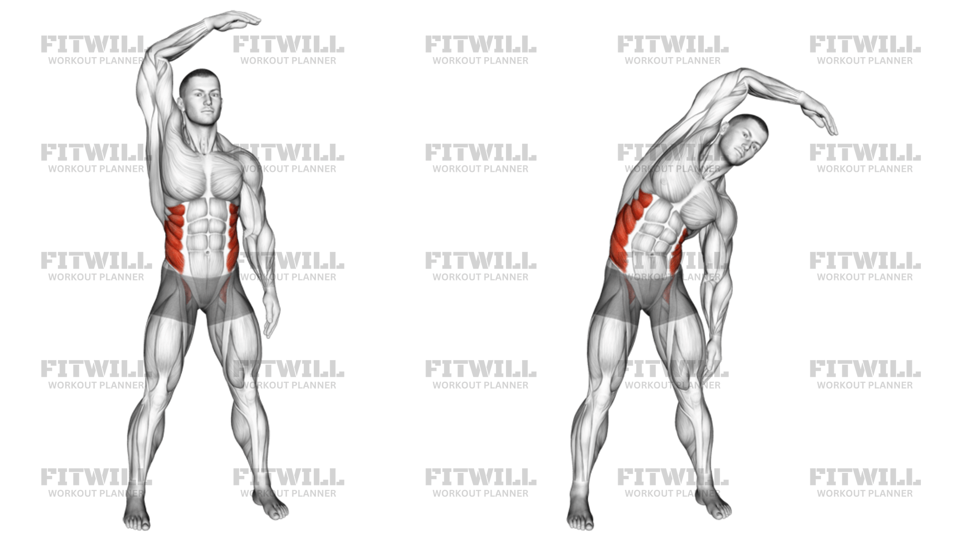 Standing Side Bend (bent Arm): Exercise Guide, Video, Techniques ...