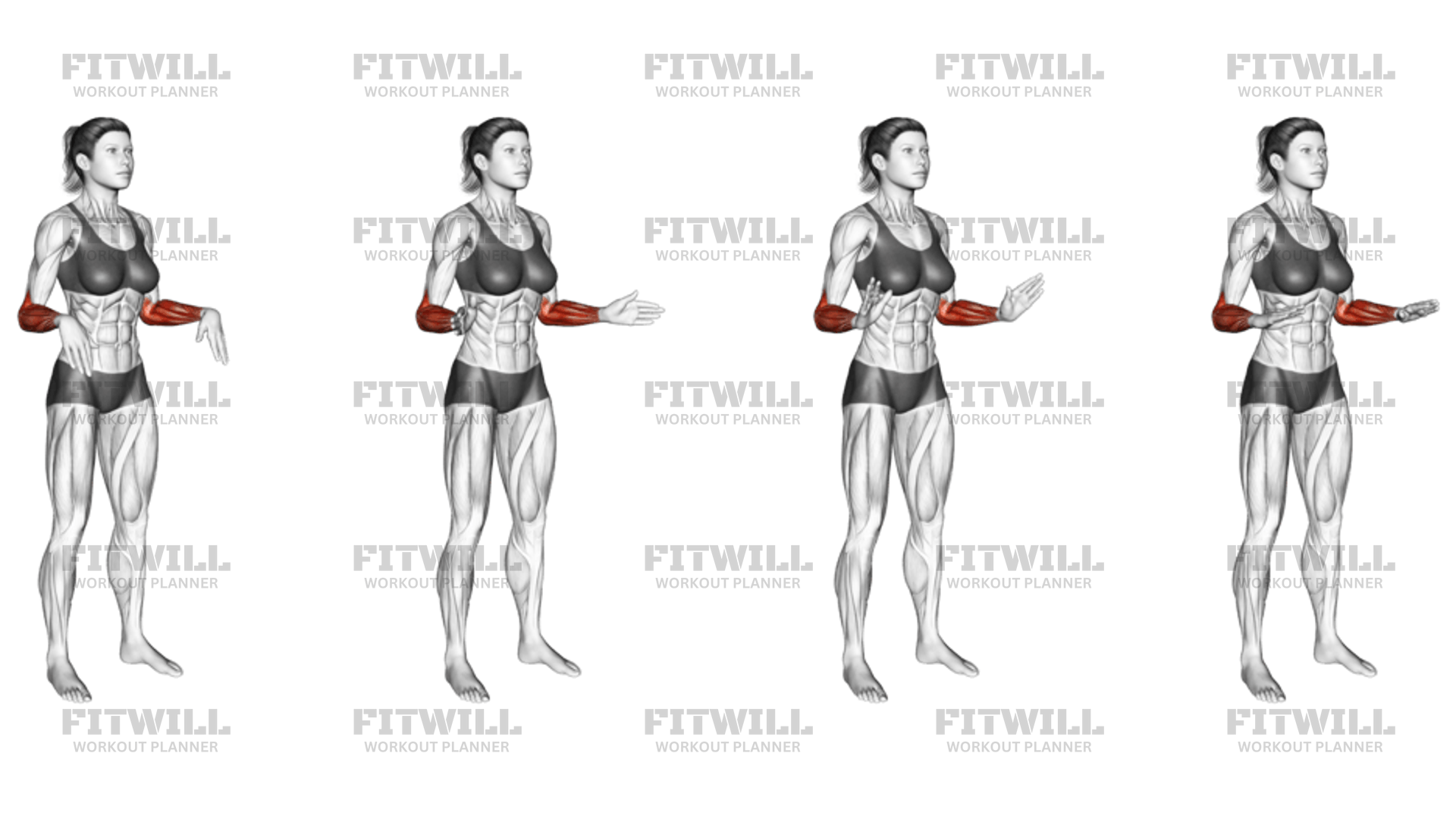 Wrist Circles: Exercise Guide, Video, Techniques, Benefits, How to ...