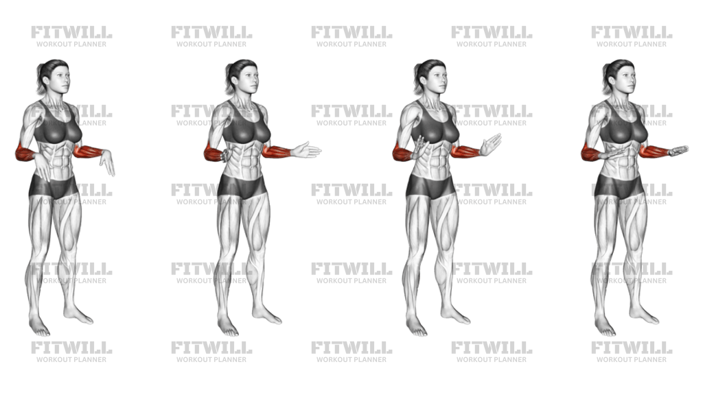 Wrist Circles: Exercise Guide, Video, Techniques, Benefits, How to ...