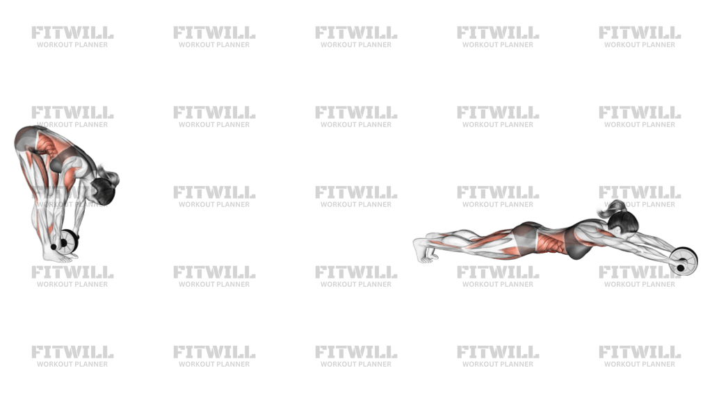 Standing Wheel Rollout: Exercise Guide, Video, Techniques, Benefits ...