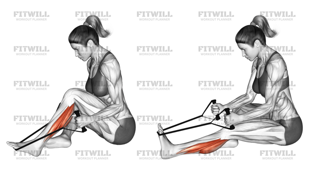 Peroneals Stretch: Exercise Guide, Video, Techniques, Benefits, How to ...