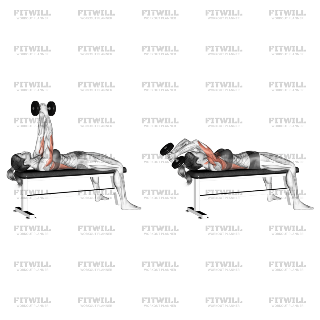 Dumbbell Bent Arm Pullover: Exercise Guide, Techniques, Benefits, How to, Muscles Worked, Tips ...