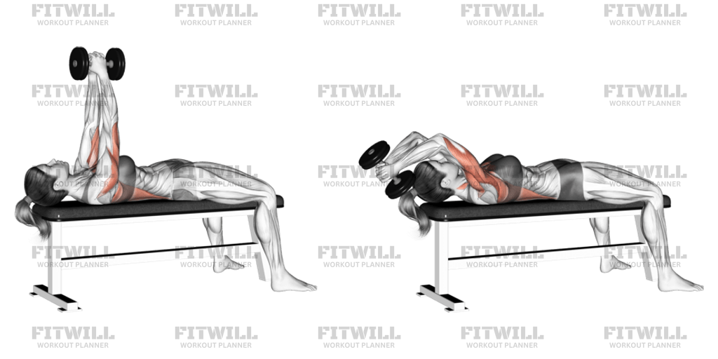 Dumbbell Bent Arm Pullover: Exercise Guide, Techniques, Benefits, How ...