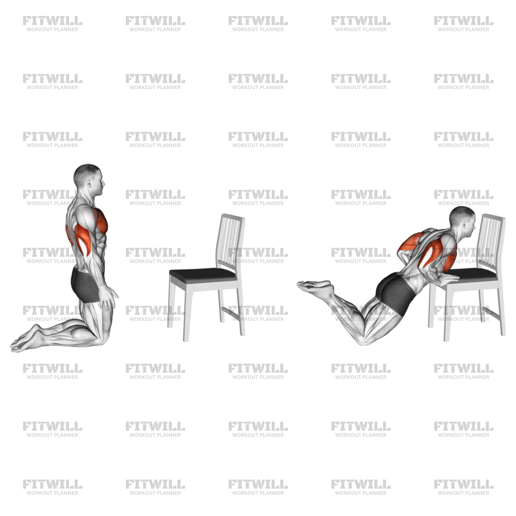 Push With Chair: Exercise Guide, Techniques, Benefits, How to, Muscles ...