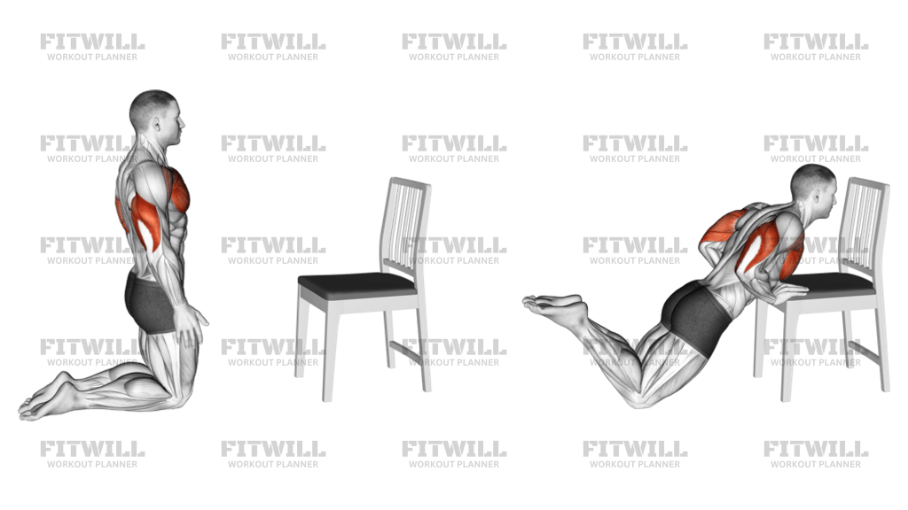 Push With Chair: Exercise Guide, Techniques, Benefits, How to, Muscles ...