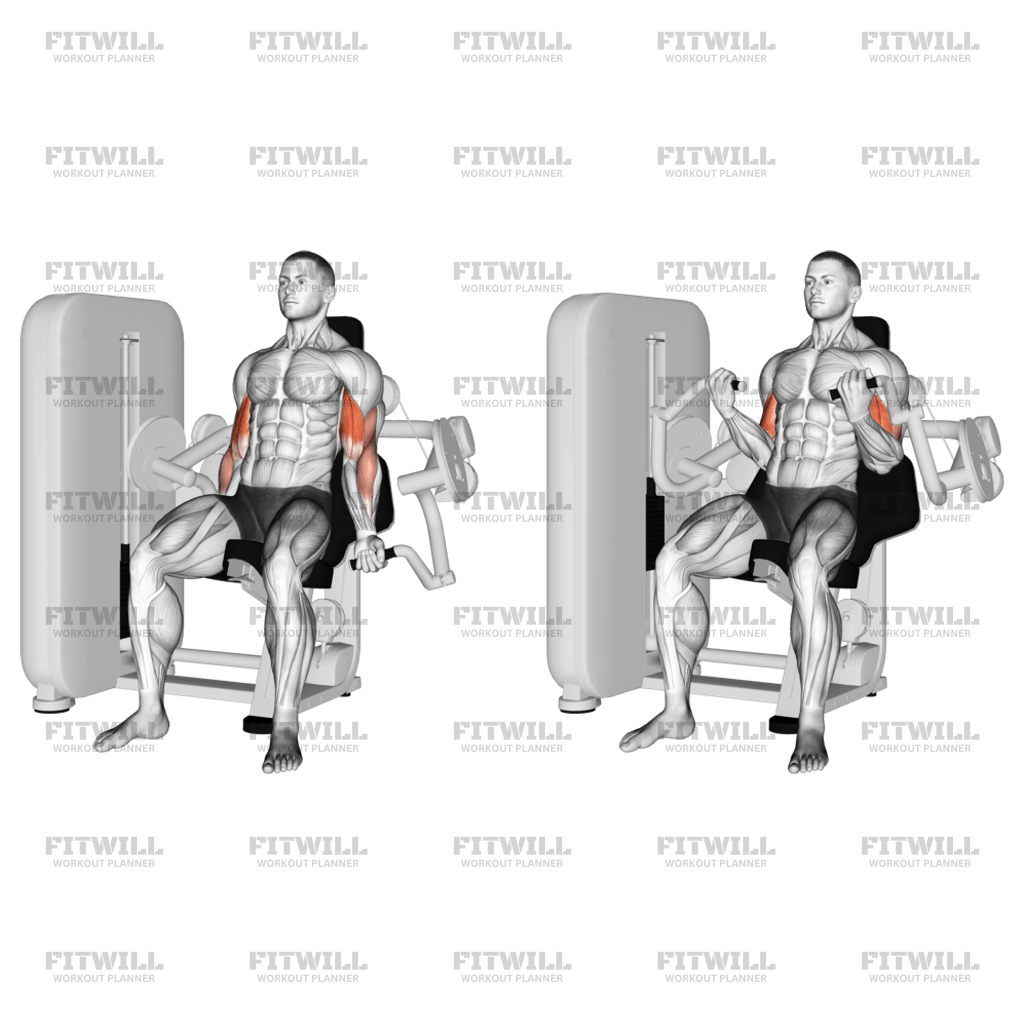 Upper Arm Perfection: Biceps and Triceps Workout for Ultimate Gains ...