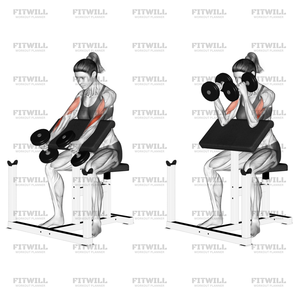 Dumbbell Hammer Preacher Curl: Exercise Guide, Techniques, Benefits ...