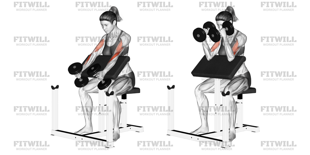 Dumbbell Hammer Preacher Curl: Exercise Guide, Techniques, Benefits ...