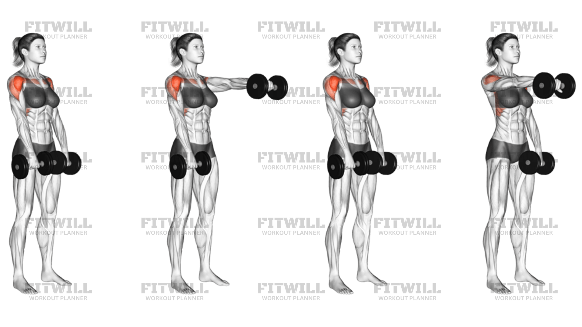 Dumbbell Alternate Front Raise: Exercise Guide, Video, Techniques ...