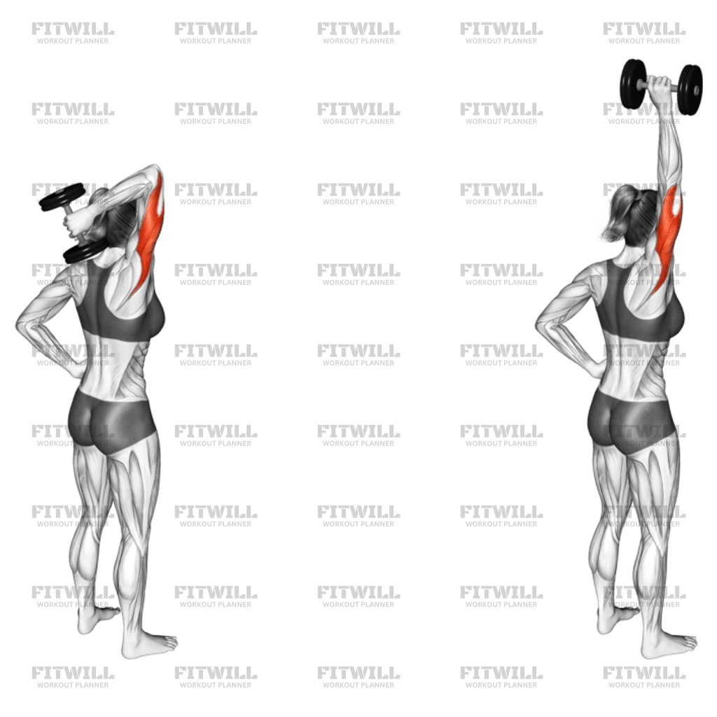 Dumbbell One Arm Triceps Extension: Exercise Guide, Techniques ...