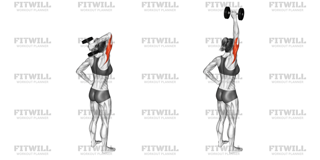 Dumbbell One Arm Triceps Extension: Exercise Guide, Techniques ...