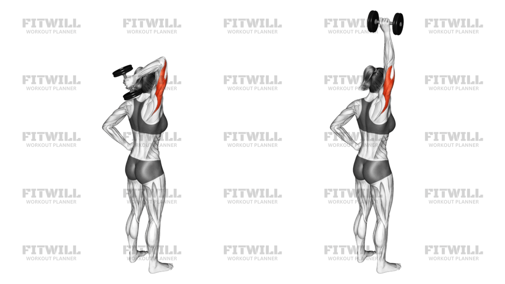 How to do Dumbbell One Arm Triceps Extension: Techniques, Benefits ...