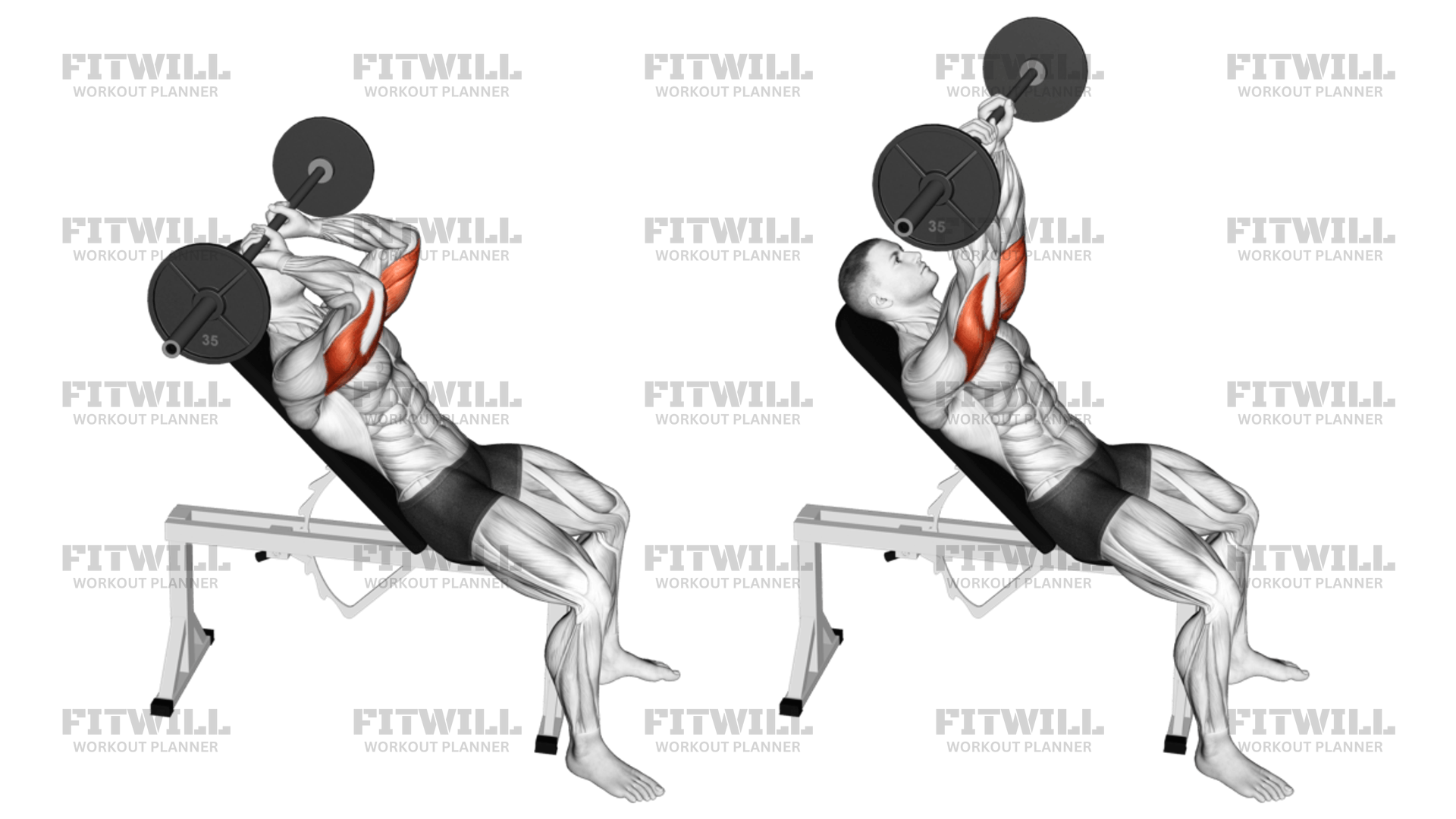 Barbell Incline Triceps Extension Skull Crusher: Exercise Guide, Video ...