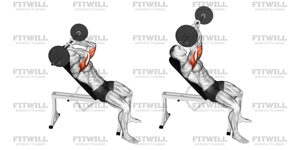 Extensión De Tríceps Con Barra En Banco Inclinado (Rompecráneos): Guía ...