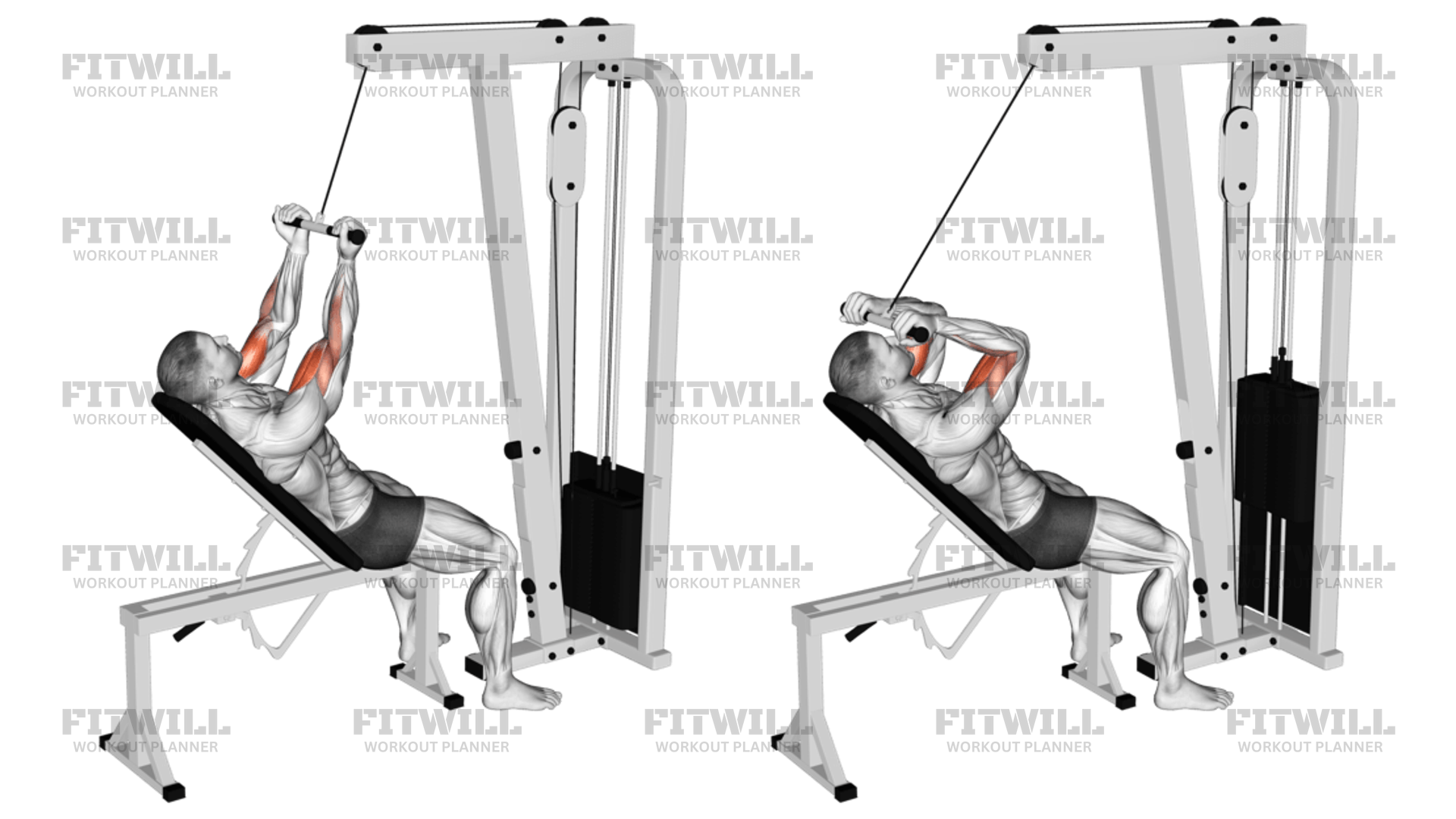 Cable Incline Close Grip Curl Exercise Guide Techniques Benefits How To Muscles Worked