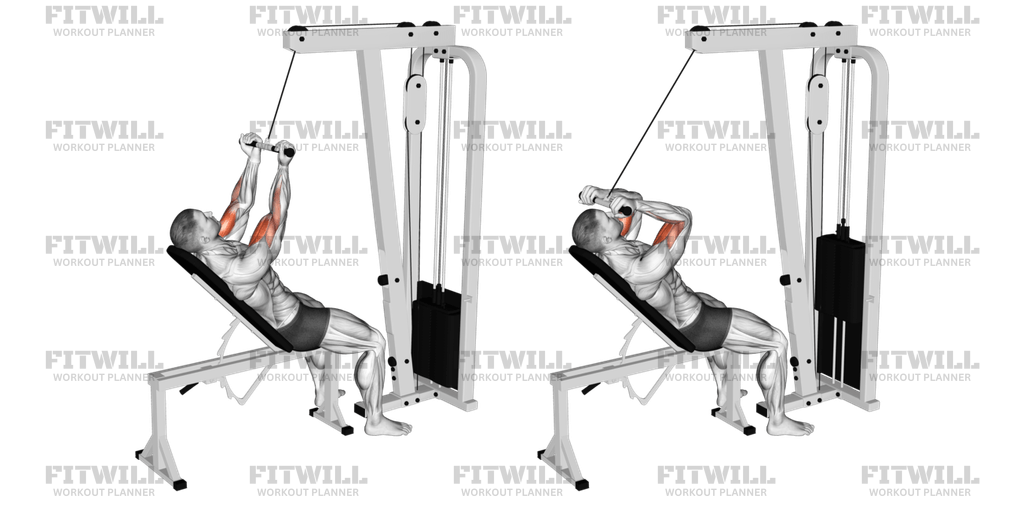 Cable Incline Close Grip Curl: Exercise Guide, Techniques, Benefits ...