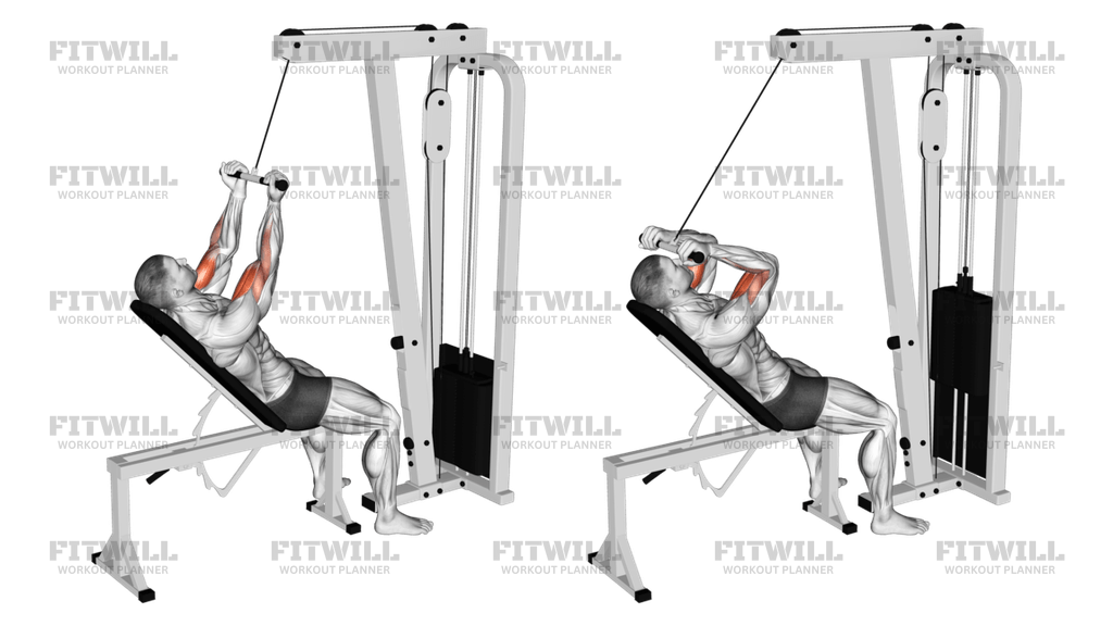 Cable Incline Close Grip Curl: Exercise Guide, Techniques, Benefits ...