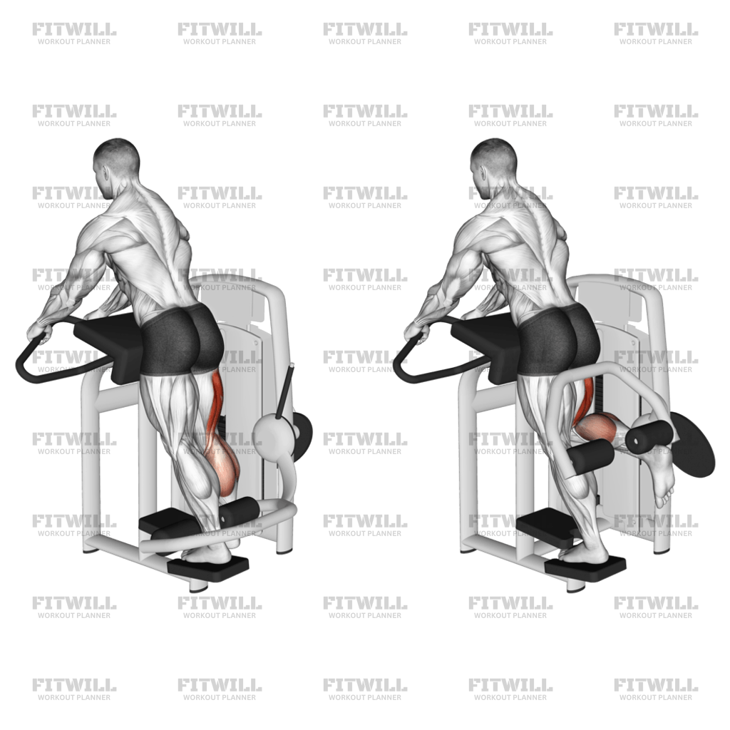 Lever Standing Leg Curl: Exercise Guide, Techniques, Benefits, How to ...