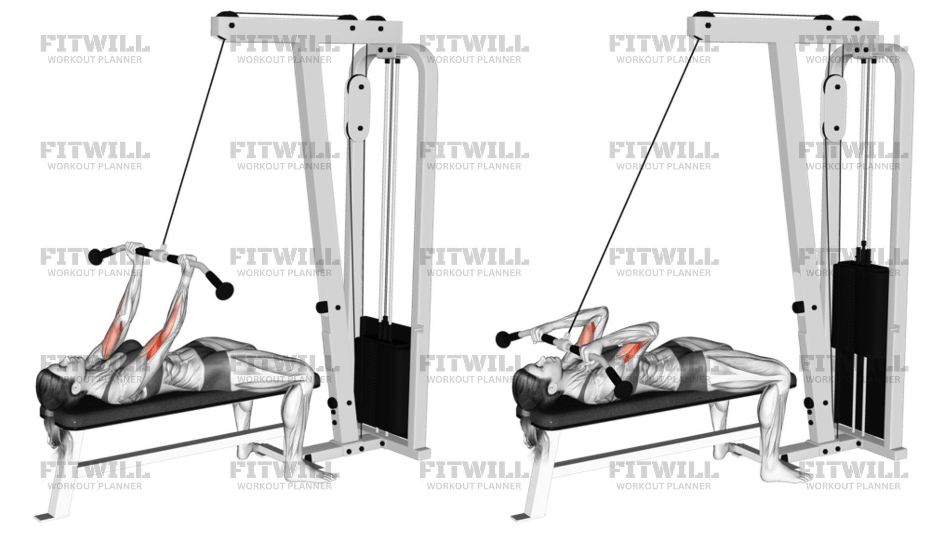 Cable Lying Regular Grip Curl: Exercise Guide, Techniques, Benefits ...