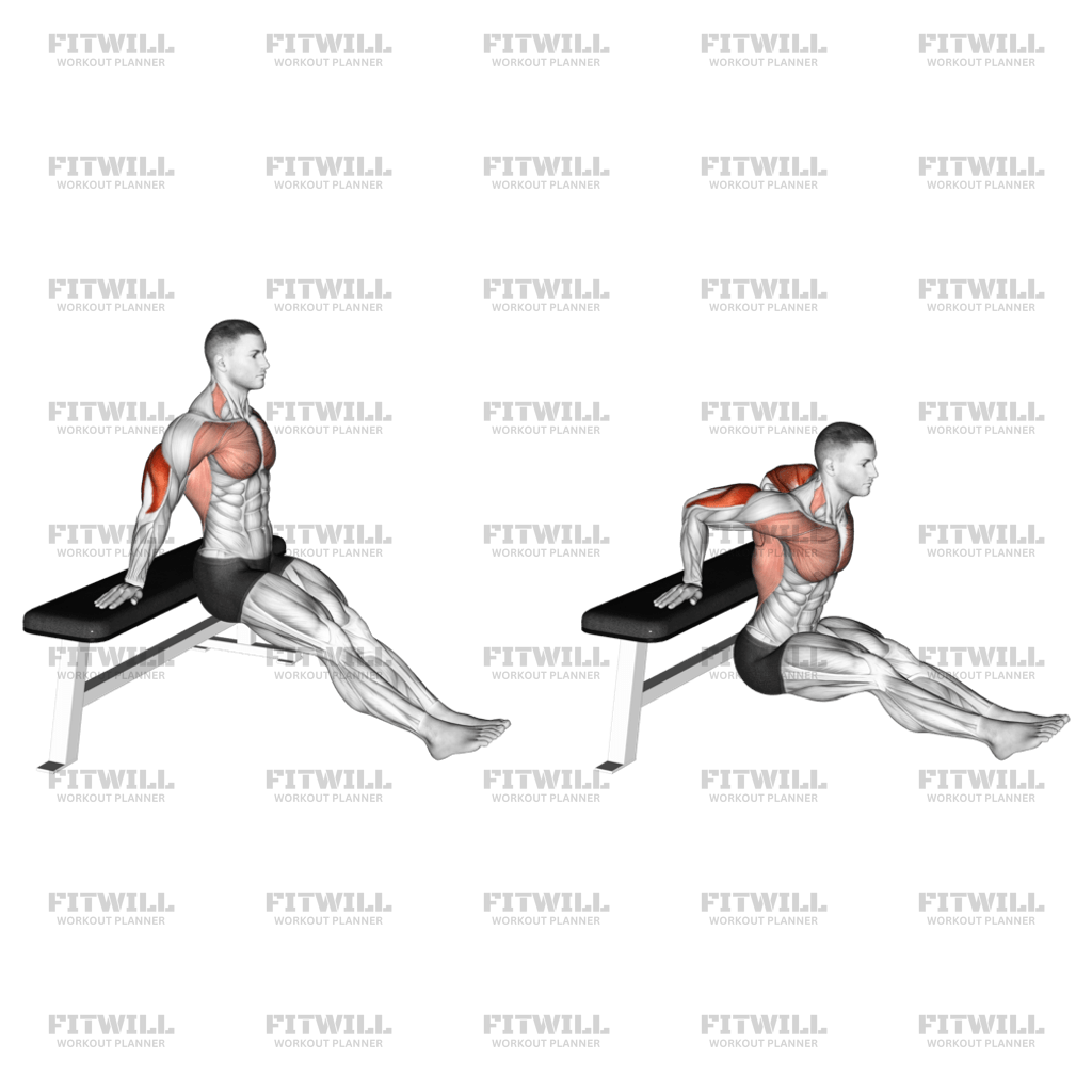 Bench Dip On Floor (VERSION 2): Exercise Guide, Techniques, Benefits ...