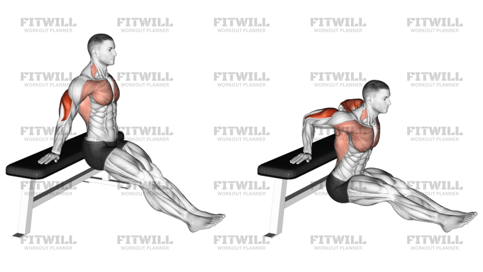 Bench Dip On Floor (VERSION 2): Exercise Guide, Techniques, Benefits ...
