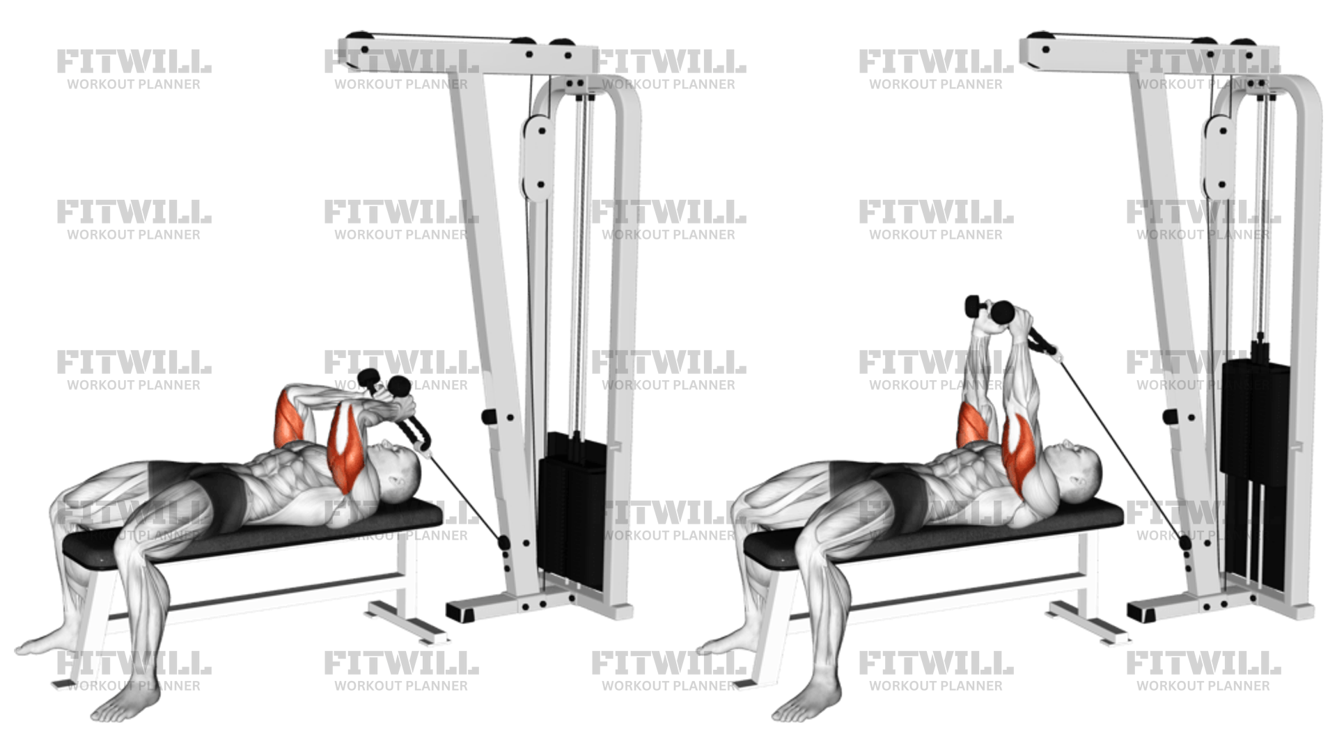 Cable Rope Lying Triceps Extension: Exercise Guide, Video, Techniques ...