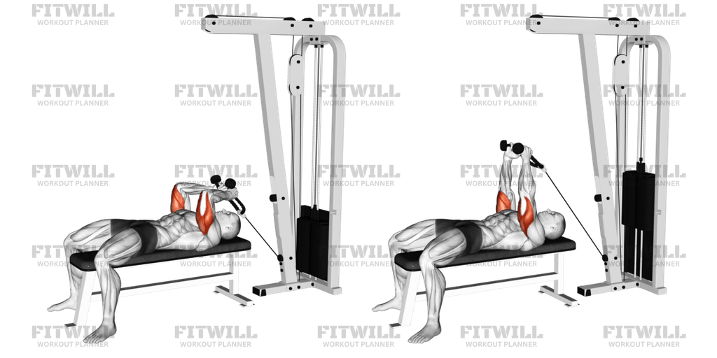Cable Rope Lying Triceps Extension: Exercise Guide, Video, Techniques ...