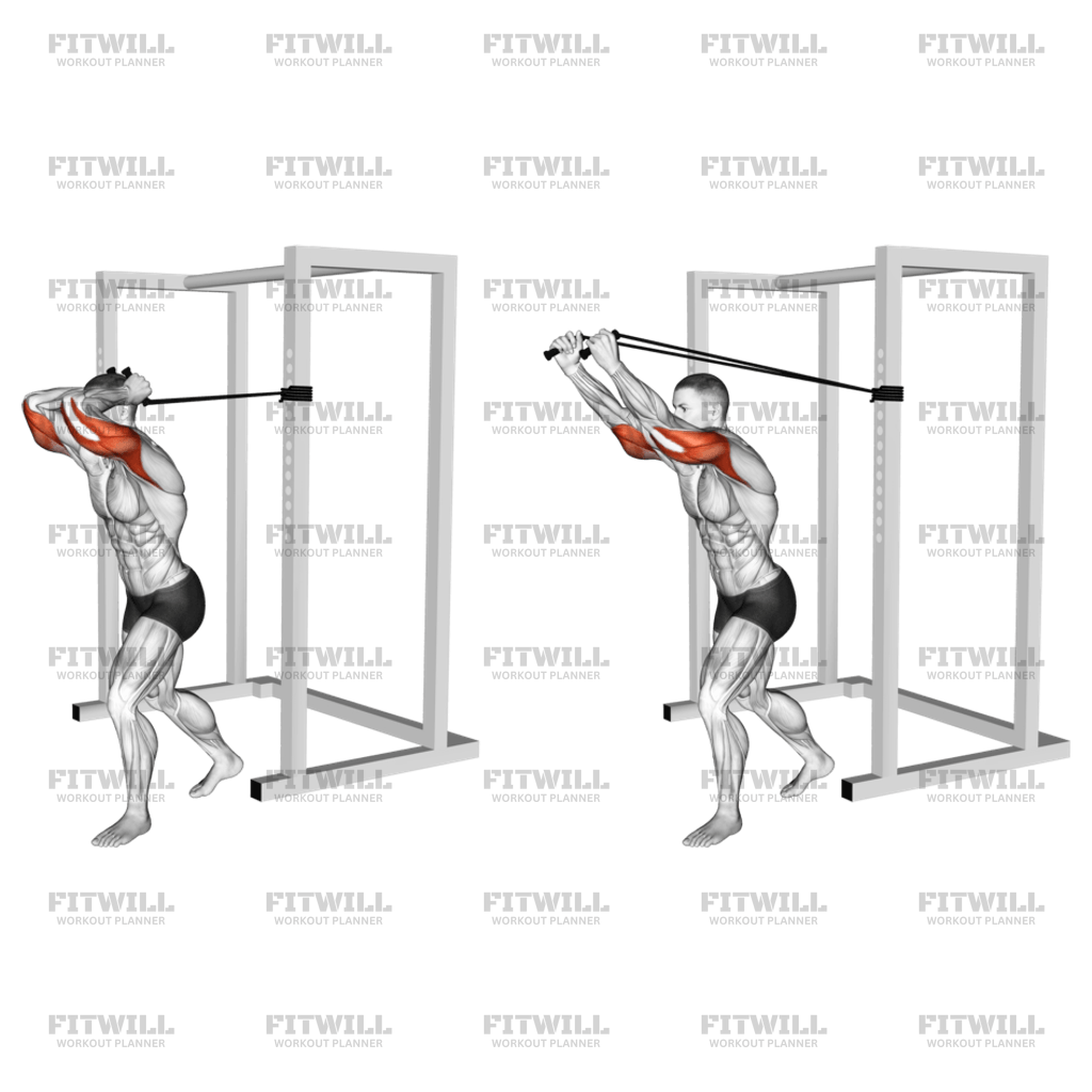 Band Overhead Triceps Extension (VERSION 2): Exercise Guide, Techniques ...