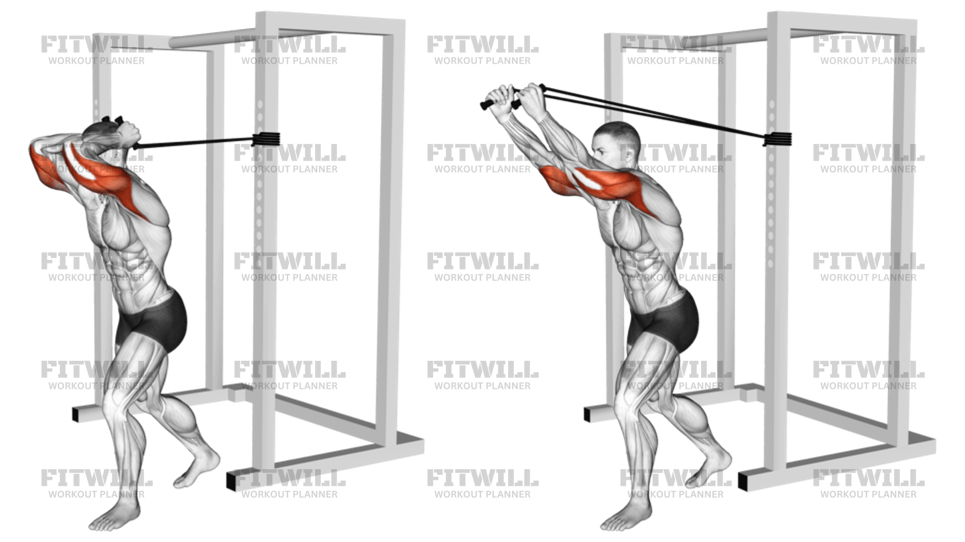 Band Overhead Triceps Extension (VERSION 2): Exercise Guide, Techniques ...