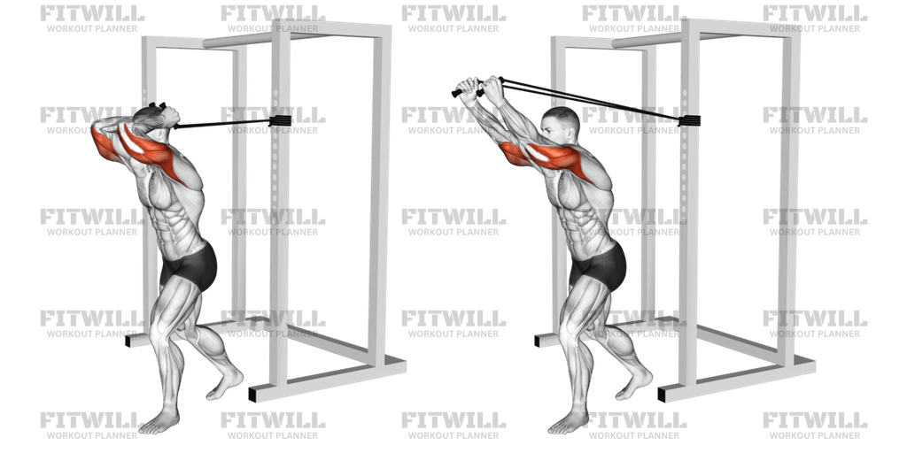 Band Overhead Triceps Extension (VERSION 2): Exercise Guide, Techniques ...