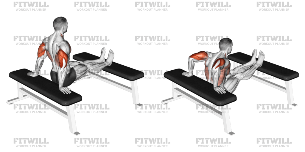 Bench Dip With Legs On Bench: Exercise Guide, Techniques, Benefits, How to, Muscles Worked, Tips ...
