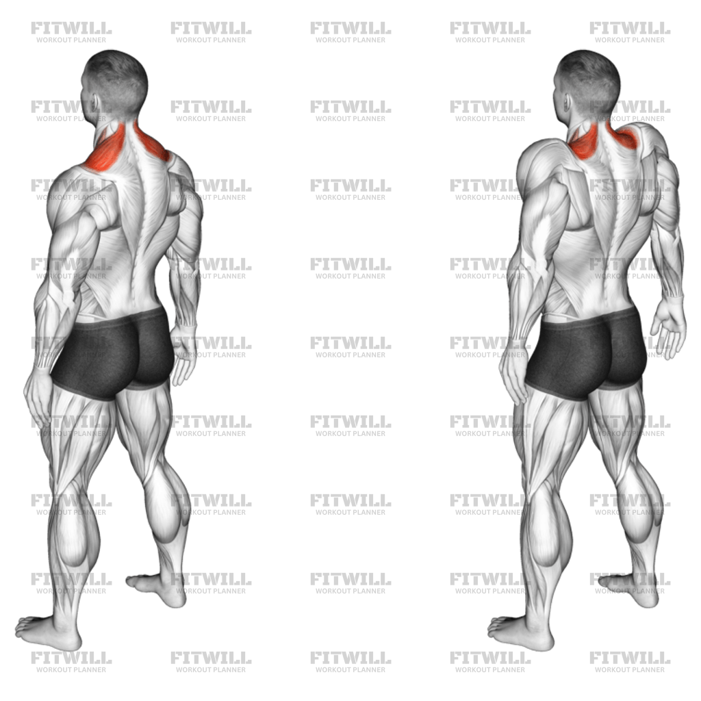 Bodyweight Shrug: Exercise Guide, Techniques, Benefits, How to, Muscles ...