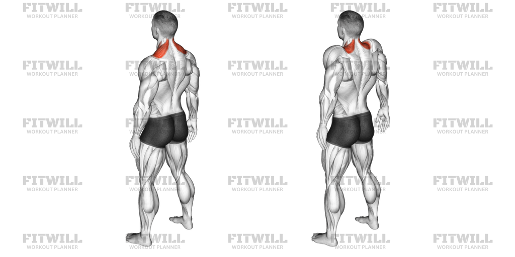 Bodyweight Shrug: Exercise Guide, Techniques, Benefits, How to, Muscles ...