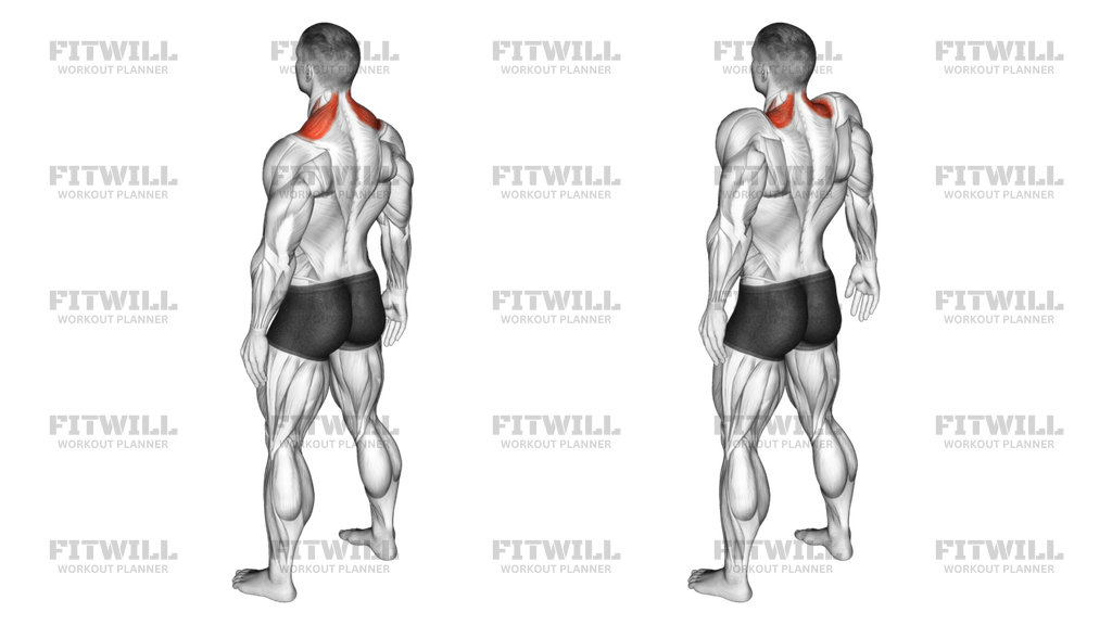 Bodyweight Shrug: Exercise Guide, Techniques, Benefits, How to, Muscles ...