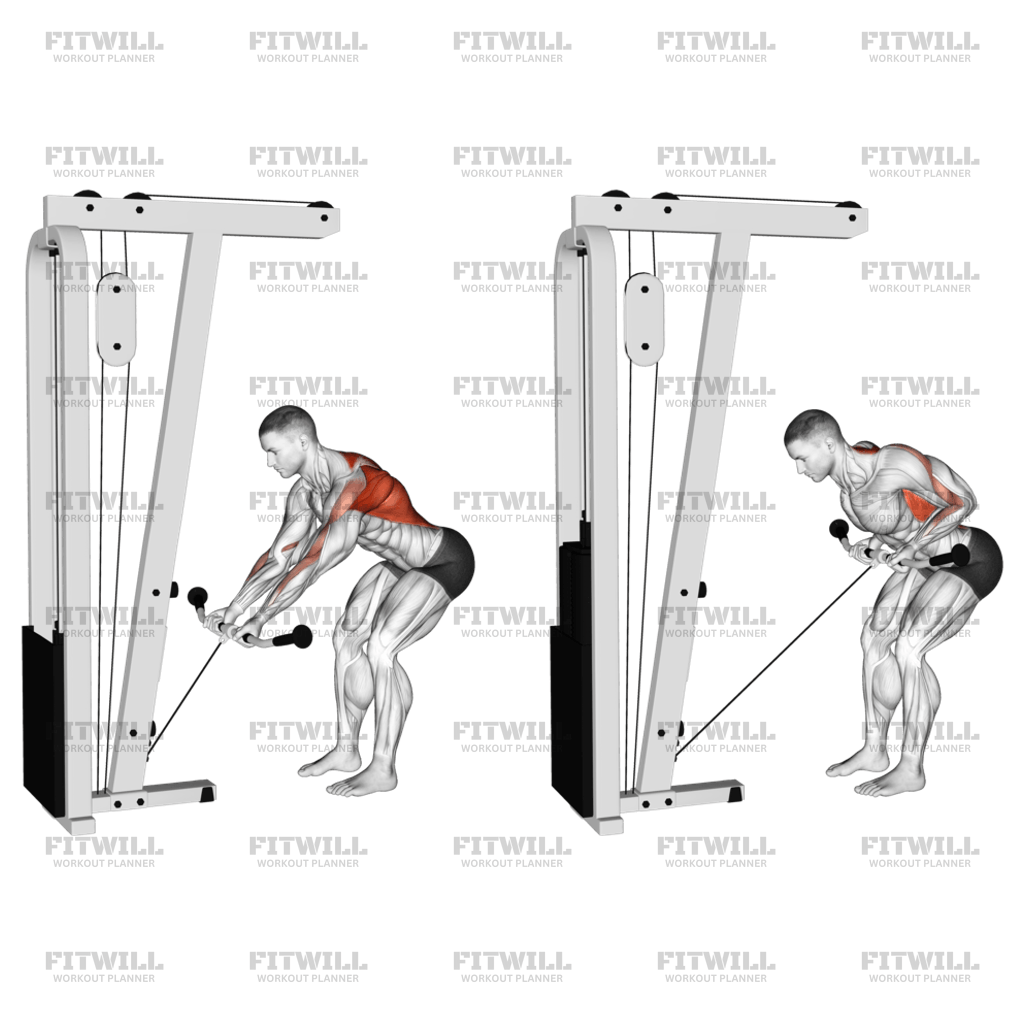 Cable Bent-Over Reverse Grip Row: Exercise Guide, Video, Techniques ...