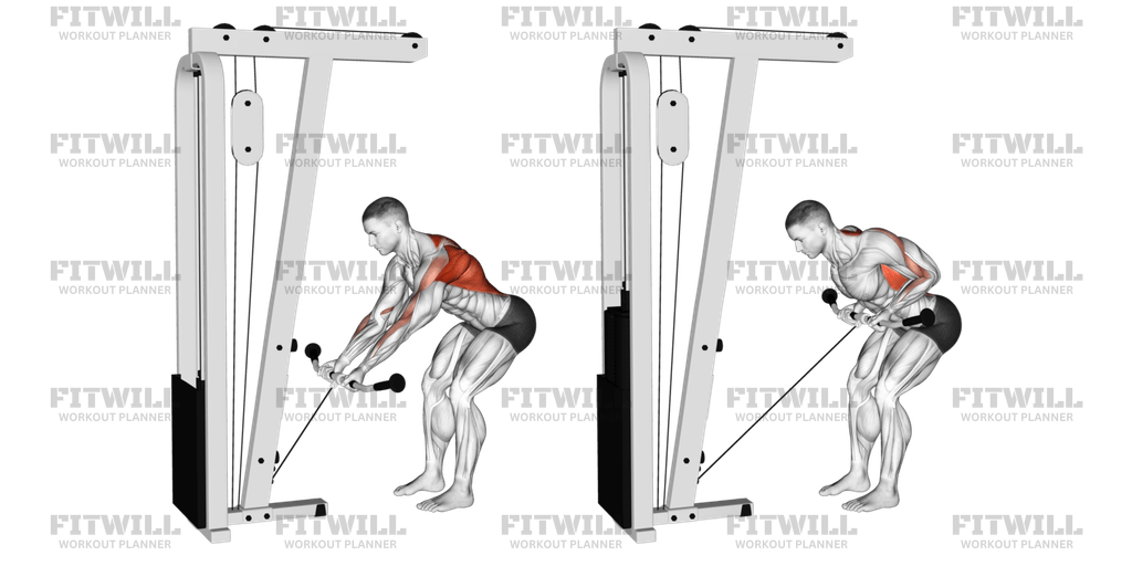 Remo Con Cable Inclinado Y Agarre Invertido: Guía de Ejercicios, Video ...