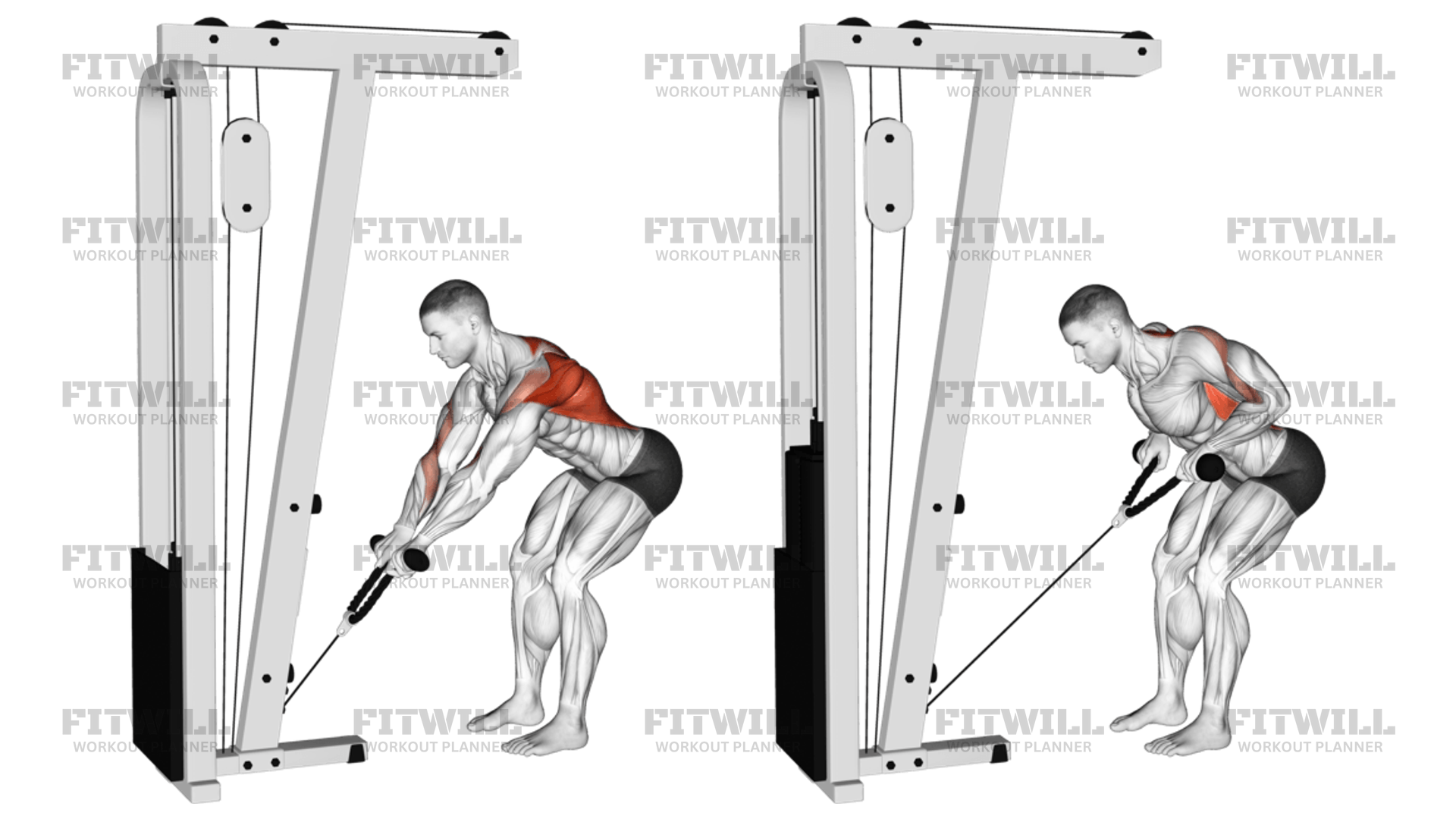 Rameur Avec Corde Sur Machine À Câbles: Guide d'exercice, Techniques ...