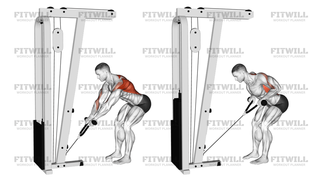 Cable Bent-Over Row With Rope Attachment: Exercise Guide, Techniques ...
