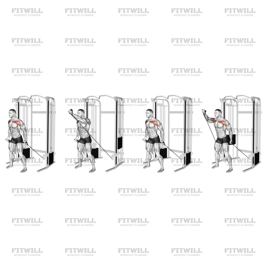Cable Standing Alternate Low Fly: Exercise Guide, Techniques, Benefits ...