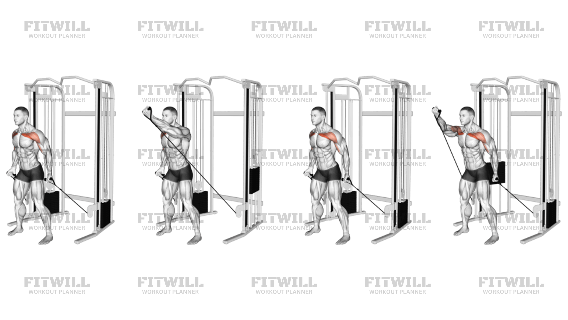 Cable Standing Alternate Low Fly: Exercise Guide, Techniques, Benefits ...