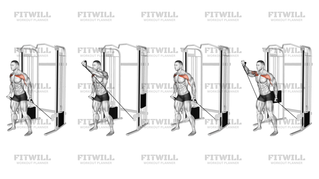 Cable Standing Alternate Low Fly: Exercise Guide, Techniques, Benefits ...