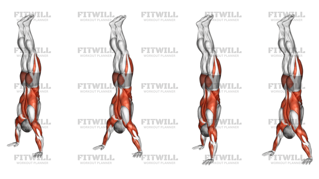 Handstand Walk: Exercise Guide, Video, Techniques, Benefits, How to ...