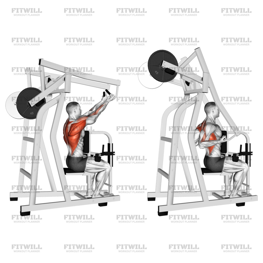 Lever Reverse Grip High Row (plate Loaded): Exercise Guide, Video ...