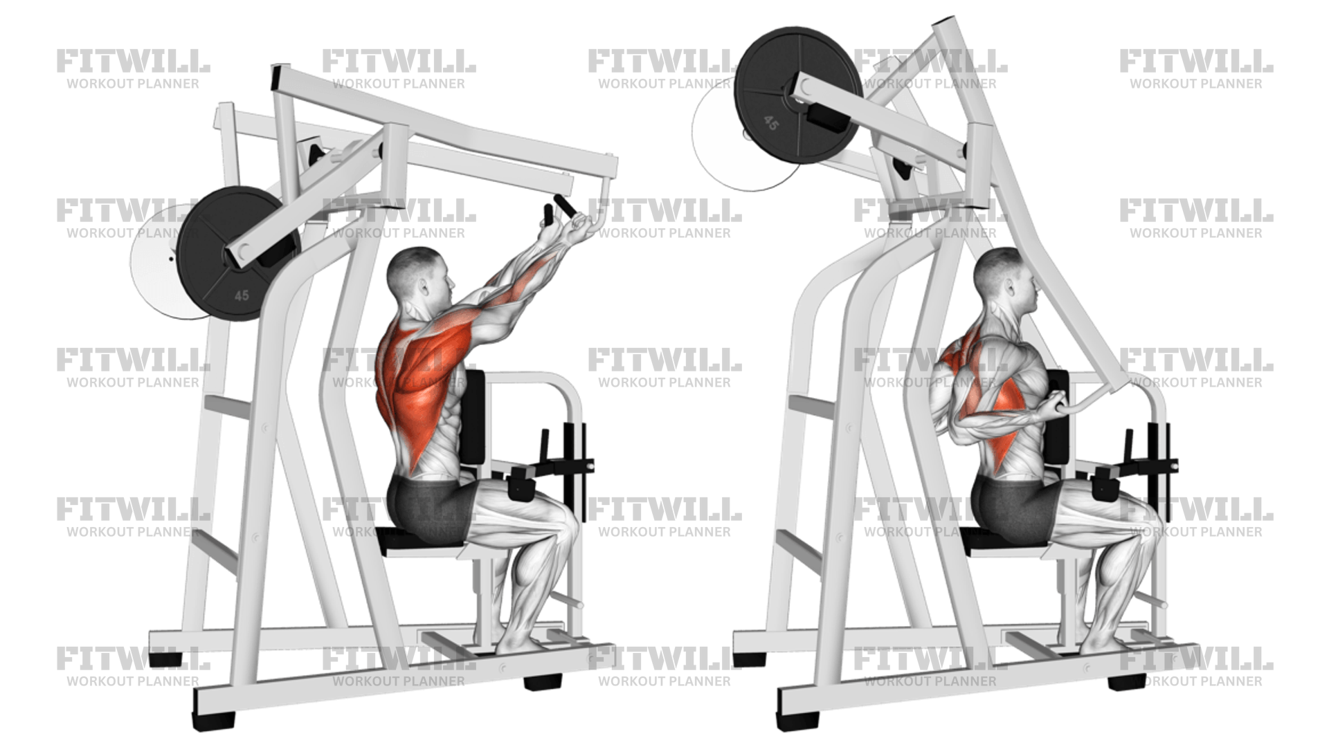 Lever Reverse Grip High Row (plate Loaded): Exercise Guide, Video ...