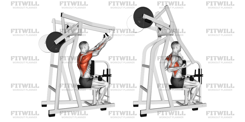 Lever Reverse Grip High Row (plate Loaded): Exercise Guide, Video ...