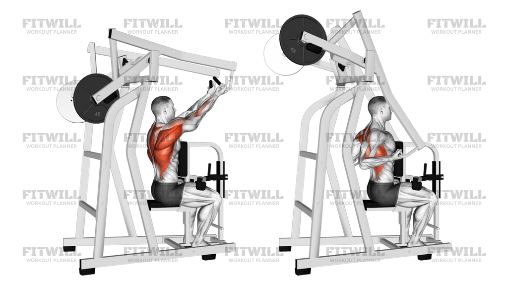 Lever Reverse Grip High Row (plate Loaded): Exercise Guide, Video ...