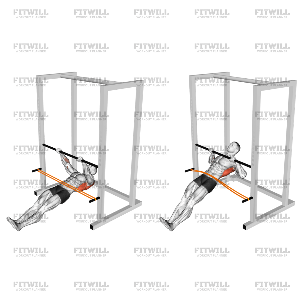 Resistance Band Inverted Row: Exercise Guide, Techniques, Benefits, How ...