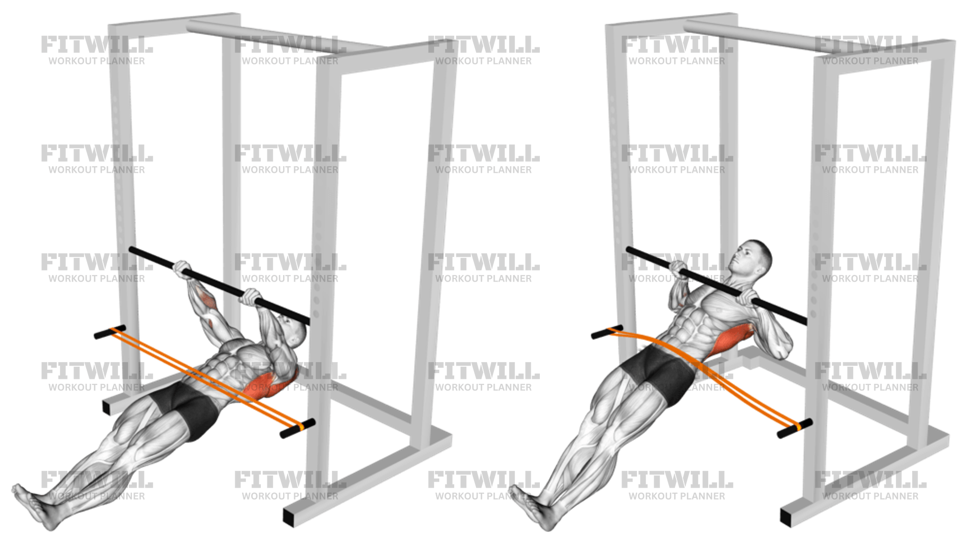 Resistance Band Inverted Row: Exercise Guide, Techniques, Benefits, How ...