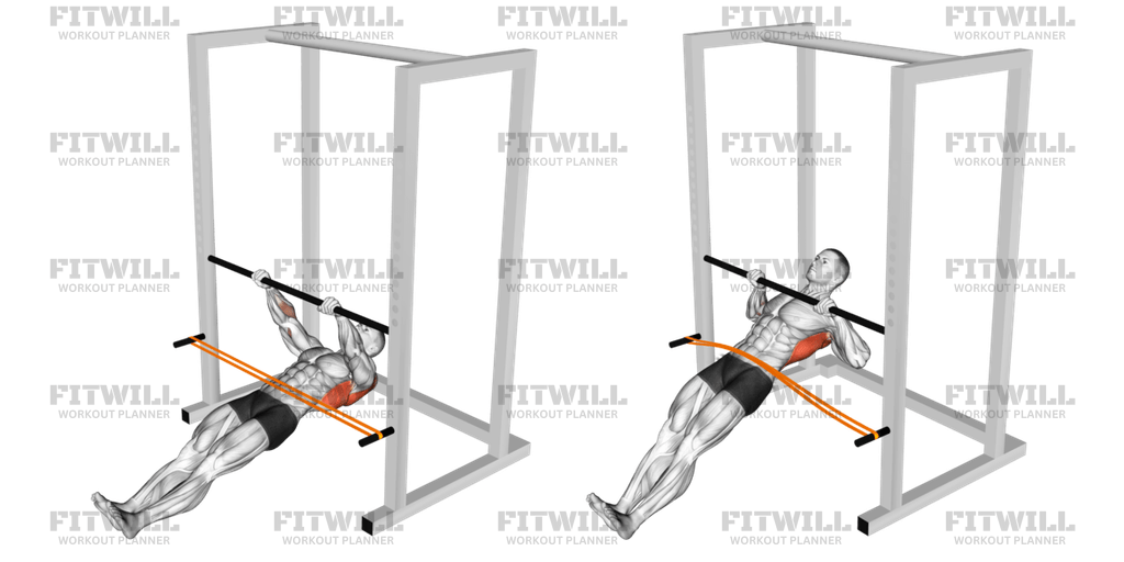 Resistance Band Inverted Row: Exercise Guide, Techniques, Benefits, How ...