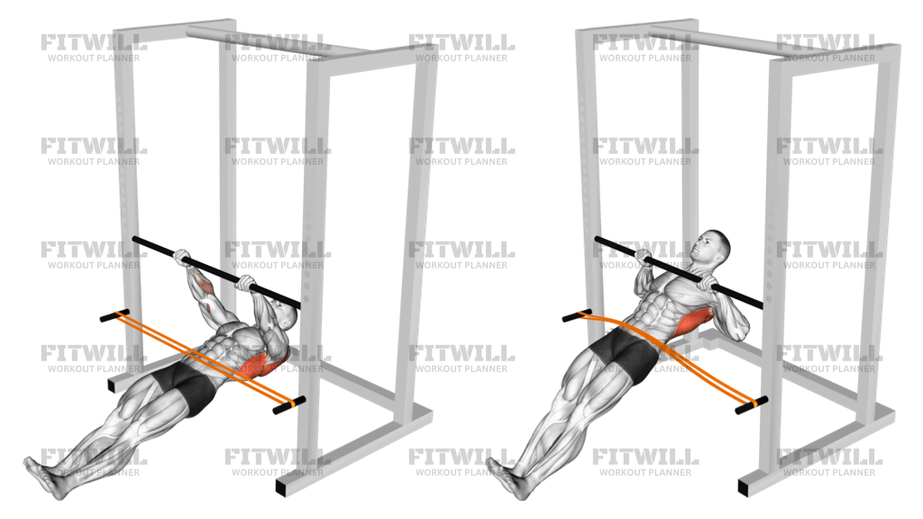 Remo Invertido Con Banda De Resistencia: Guía de Ejercicios, Técnicas, Beneficios, Cómo ...